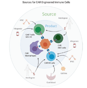 Chimeric Antigen Receptor Engineering - Fusion BioLabs