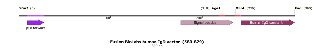 pFB-CHIg-hD: Human IgD Mammalian Expression Vector for High-Level ...