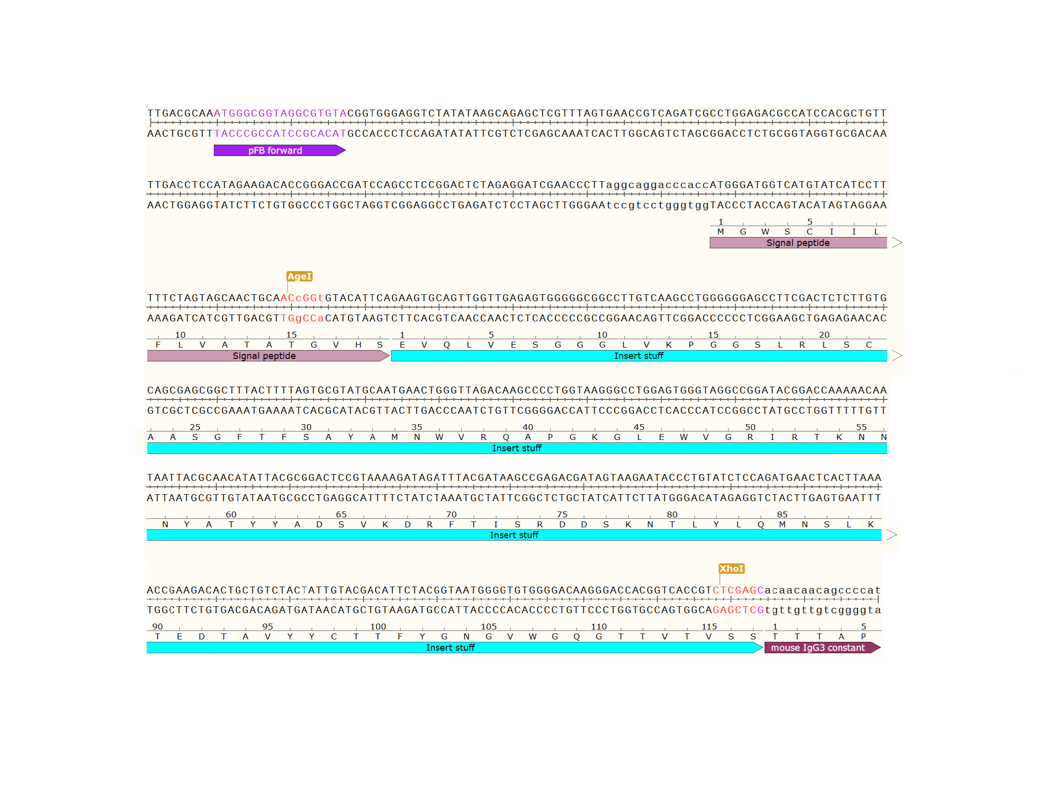 pFB-CHIg-mG3: Mouse IgG3 Mammalian Expression Vector - High-Level ...