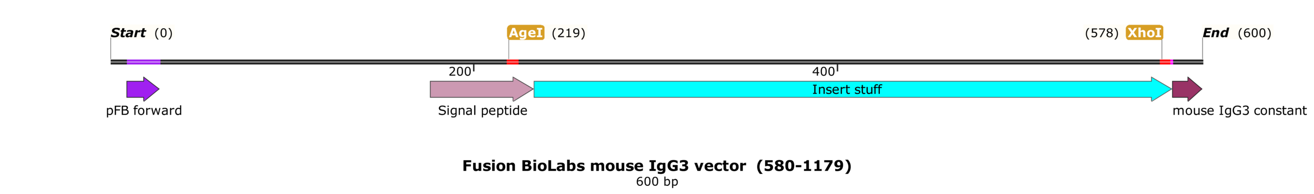 pFB-CHIg-mG3: Mouse IgG3 Mammalian Expression Vector - High-Level ...