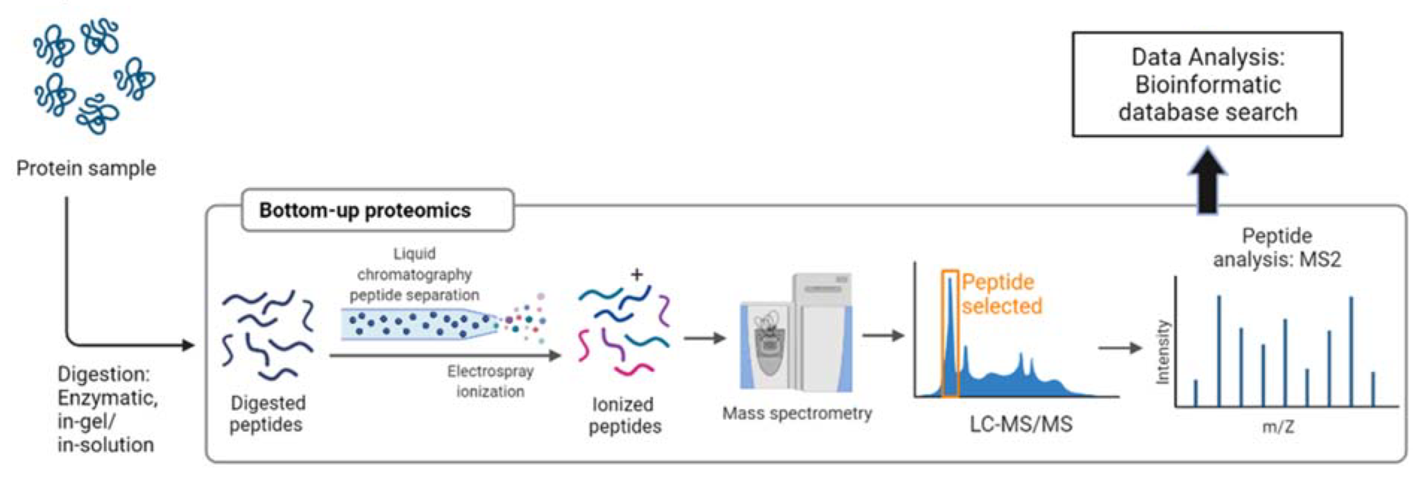 Bio-SELEX: Revolutionizing Biomarker Discovery - Fusion BioLabs
